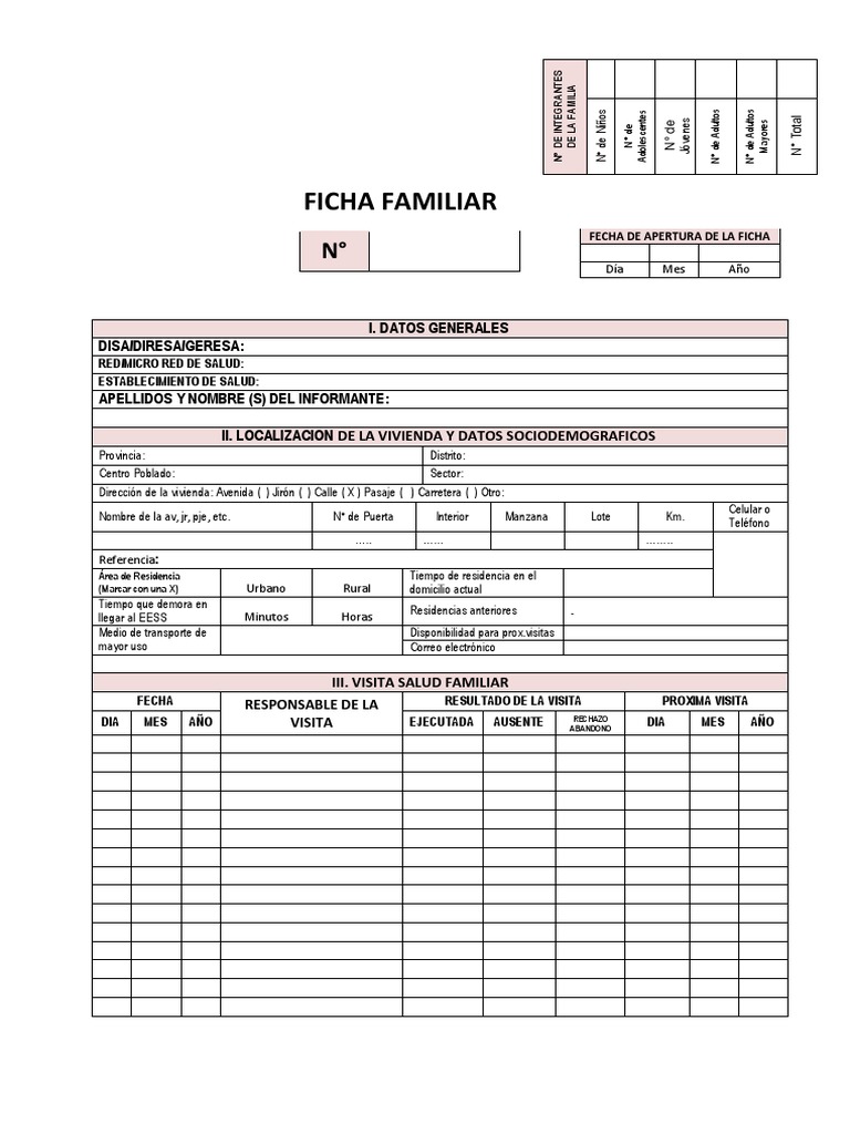 Ficha Familiar | PDF | Familia | Adultos