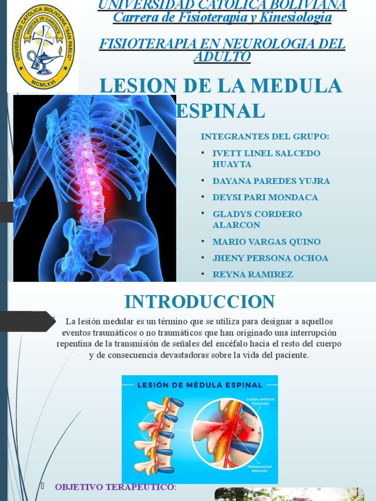 Lme Diapositivas Exposicion | PDF | Médula espinal | Lesión de la médula espinal