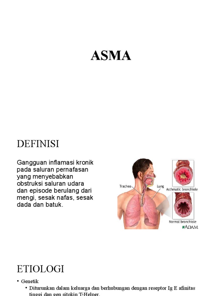 Obstruksi Saluran Pernafasan pada Asma | PDF
