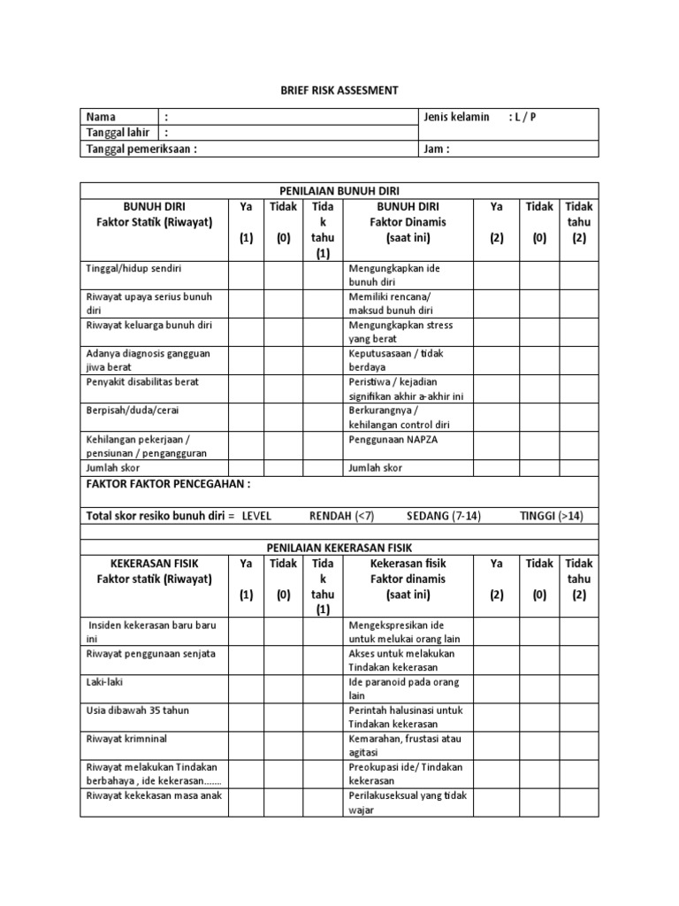 Brief Risk Assesment - Bra | PDF