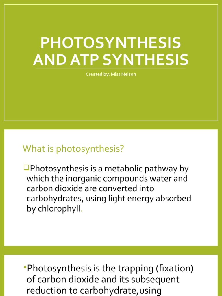 Photosynthesis and ATP Synthesis Part 1 | PDF | Photosynthesis ...