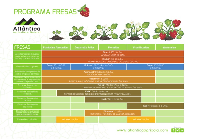 Programa Fresas | PDF | Nutrición | Dieta y nutrición