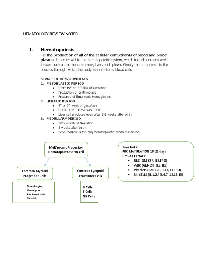 HEMATOLOGY REVIEW NOTES | PDF | Haematopoiesis | Red Blood Cell