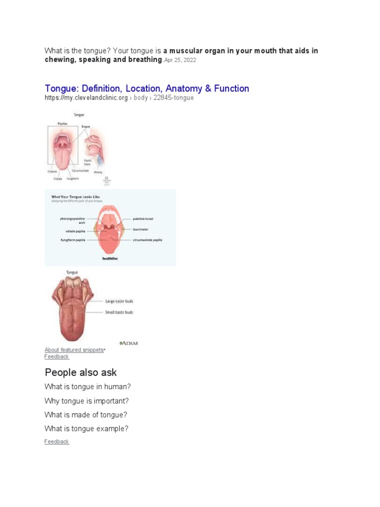 Tounge | PDF | Tongue | Anatomy