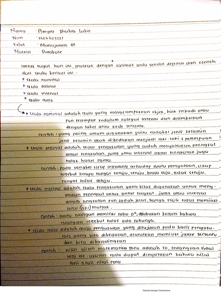 Skala Database Amyra Zhahra Lubis | PDF
