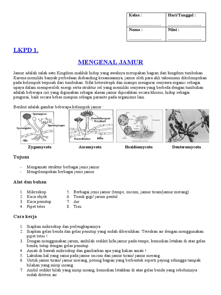 LKS Mengenal Jamur | PDF