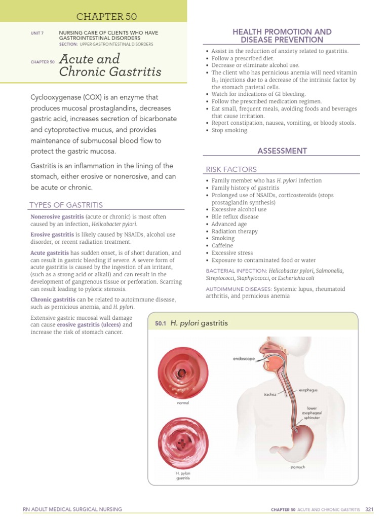 Acute and Chronic Gastritis | PDF | Stomach | Vomiting