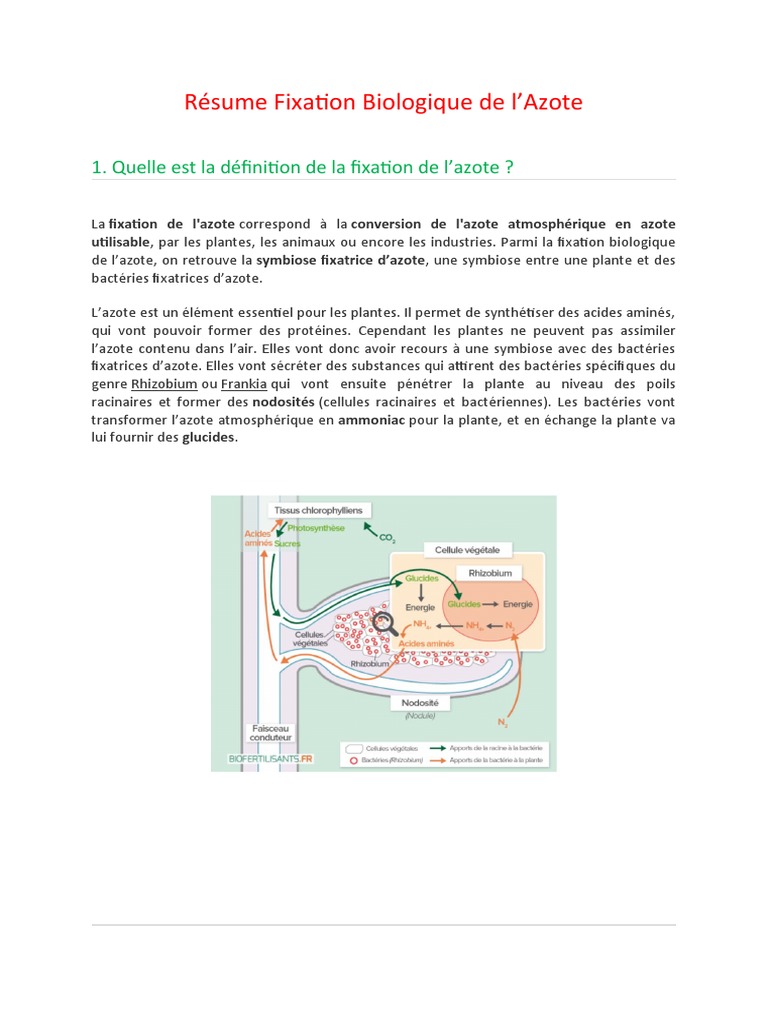 Resume Fixation Azote | PDF | Bactérie | Chimie
