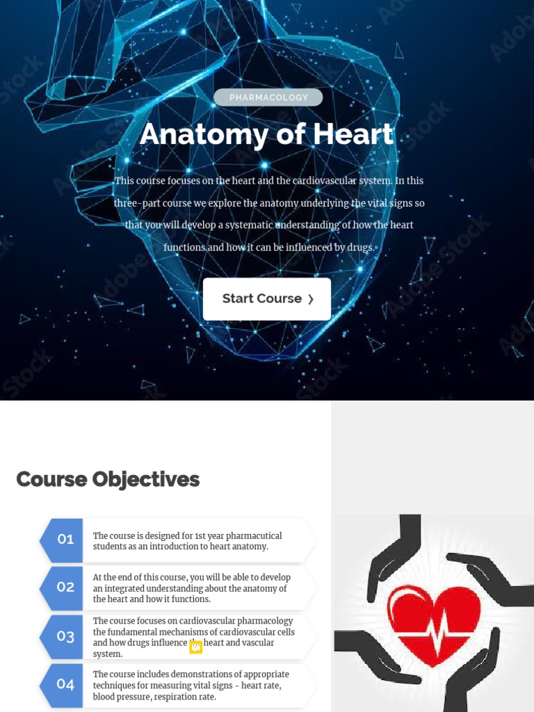 Heart Anatomy | Download Free PDF | Heart | Atrium (Heart)