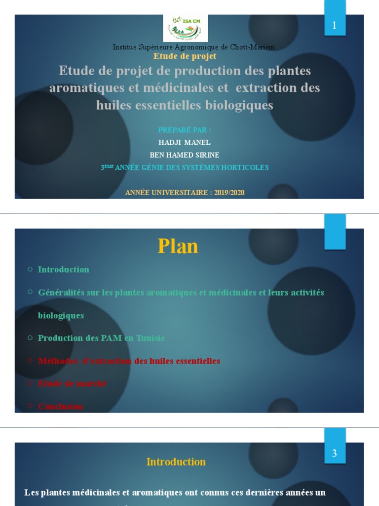 Final Expo PAM | PDF