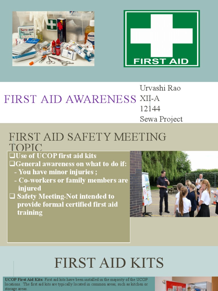 First Aid Awareness | PDF