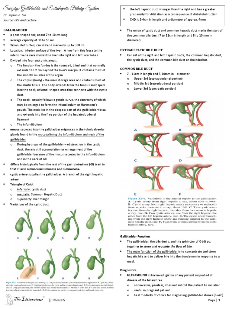 Gallbladder Surgery and Biliary System Guide | PDF | Gallbladder | Bile