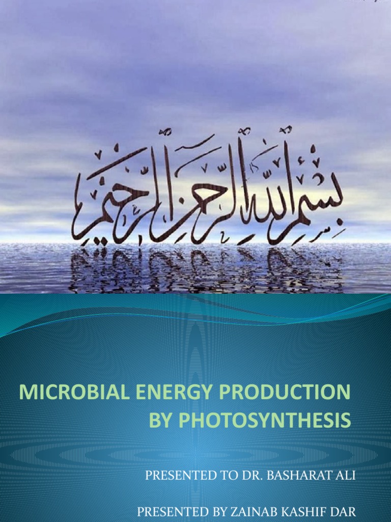 Microbial Energy Production by Photosynthesis | Download Free PDF ...