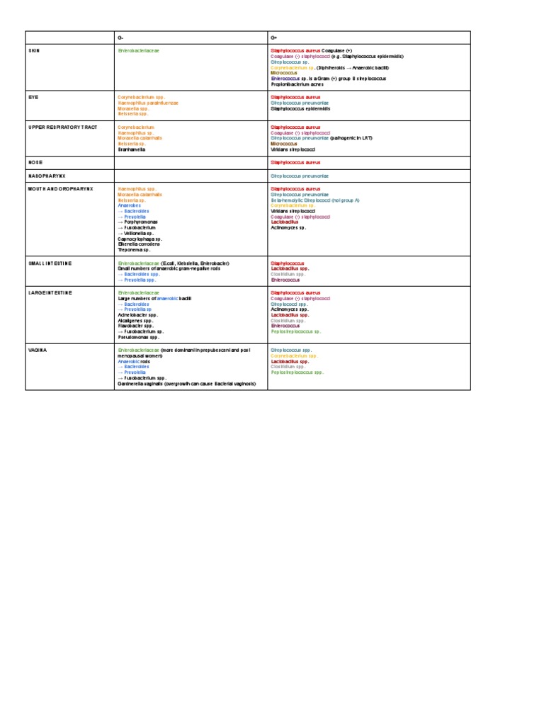 Table For Bacteria | PDF | Streptococcus | Staphylococcus