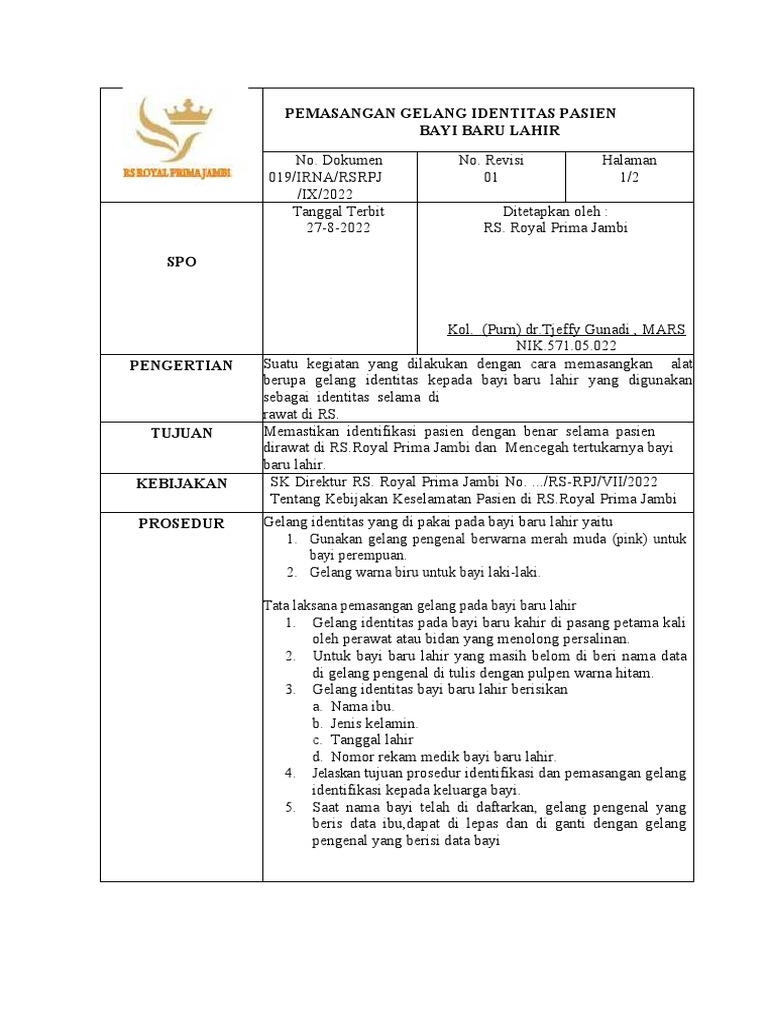Identifikasi Bayi Baru Lahir di RS | PDF