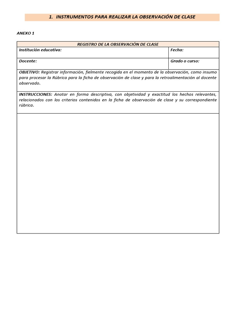 Fichas para Observación de Clases | PDF | Evaluación | Maestros