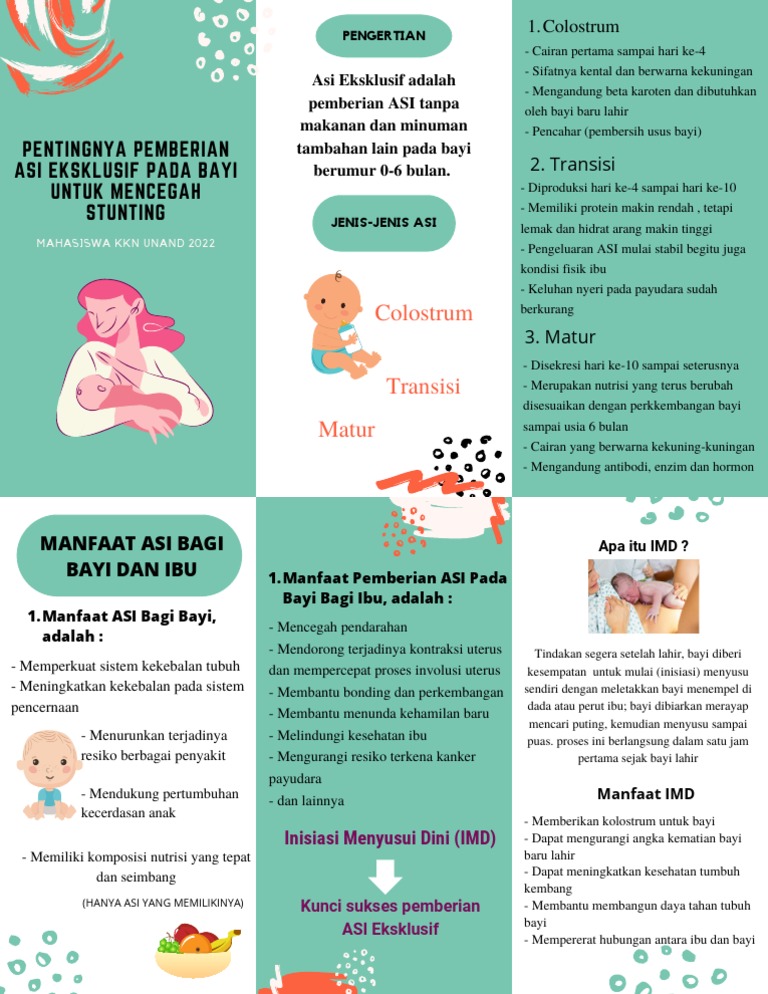 Leaflet ASI Eksklusif | PDF