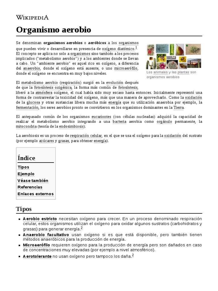 Organismo Aerobio | PDF | Ciencias fisicas | Respiración celular