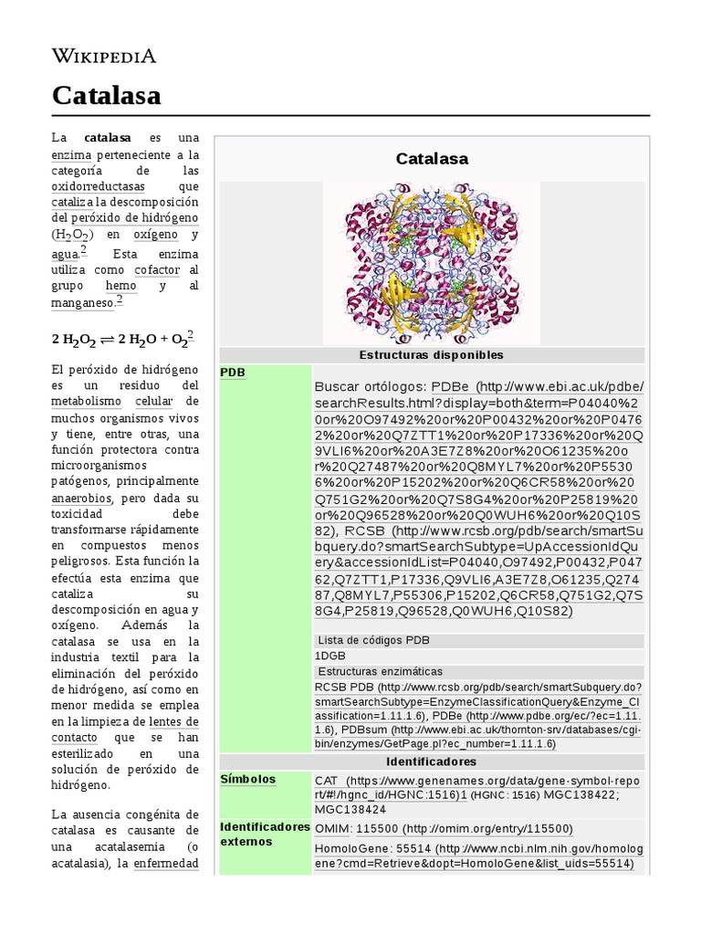 Catalasa | PDF | Catalasa | Biología