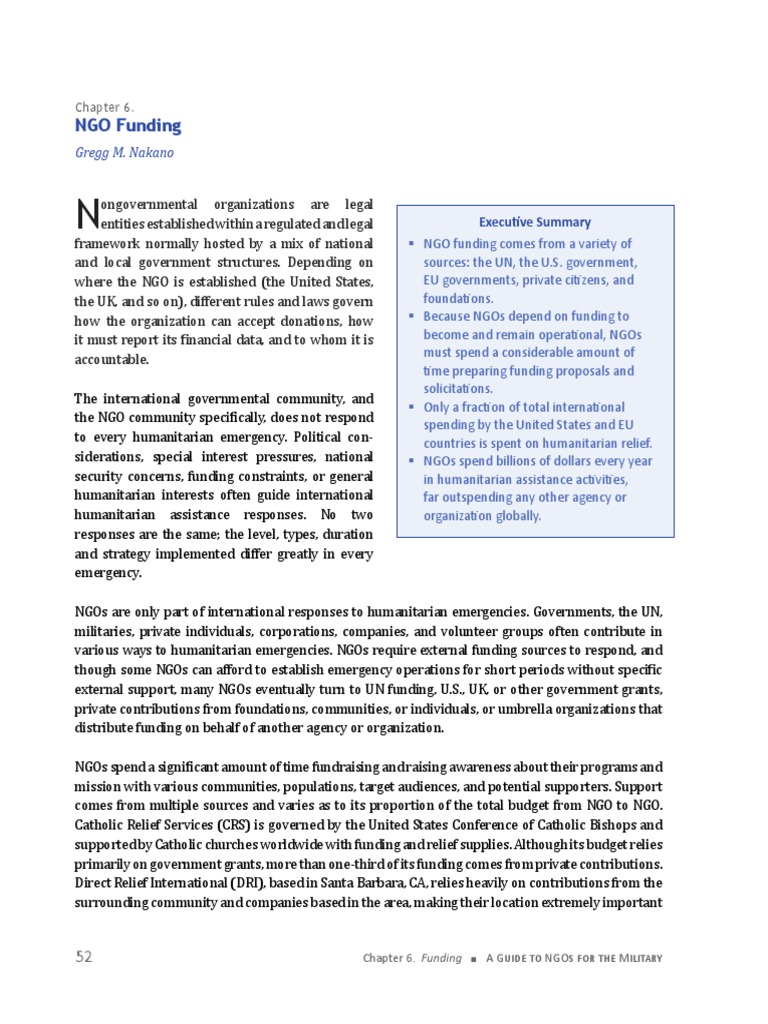 Ngo Funding Strategies Explained Pdf Non Governmental Organization