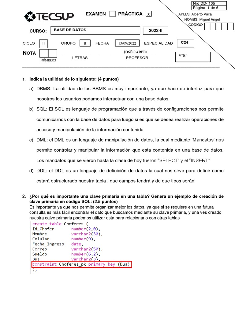 Práctica Nro. 1 - BD | PDF | Bases de datos | SQL
