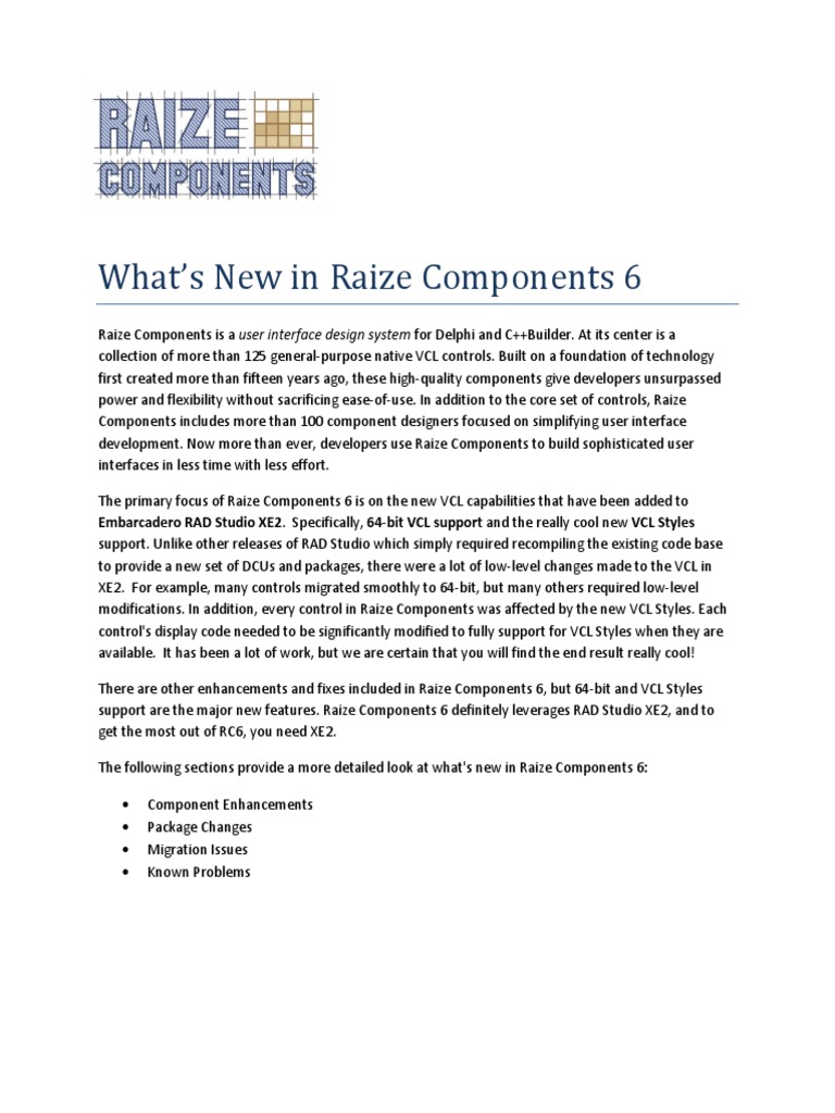 Raize 6 | PDF | Software | Software Engineering