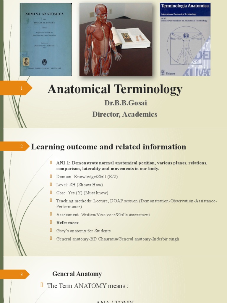 Understanding Anatomical Terminology | PDF | Anatomical Terms Of Motion ...