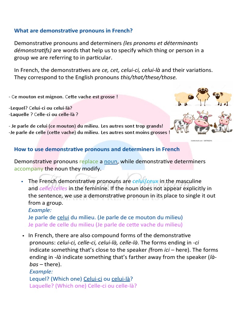 What Are Demonstrative Pronouns in French | PDF