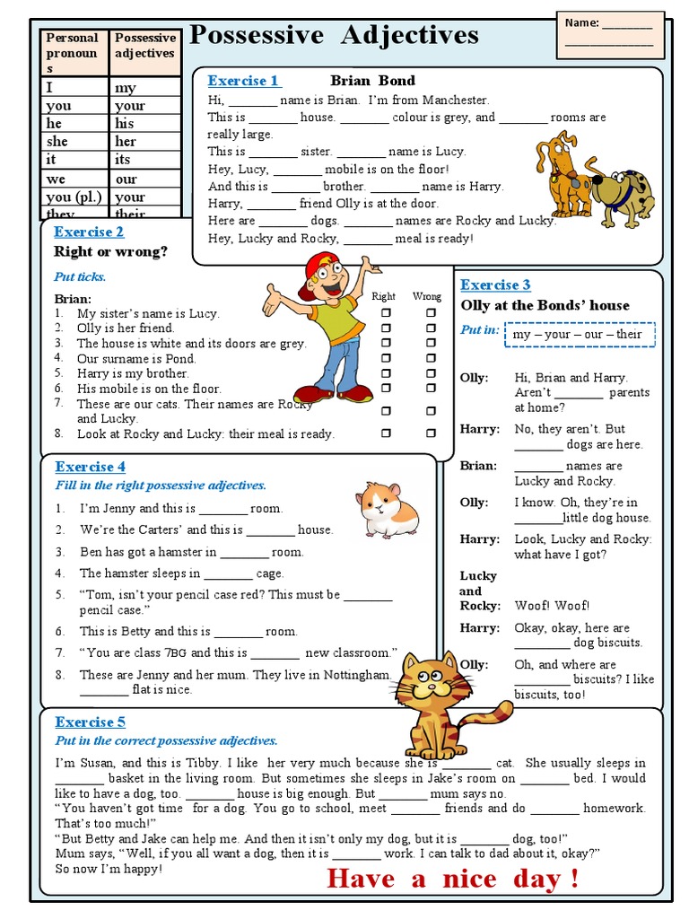 Possessive Adjectives Exercises Guide | PDF | Language Mechanics ...