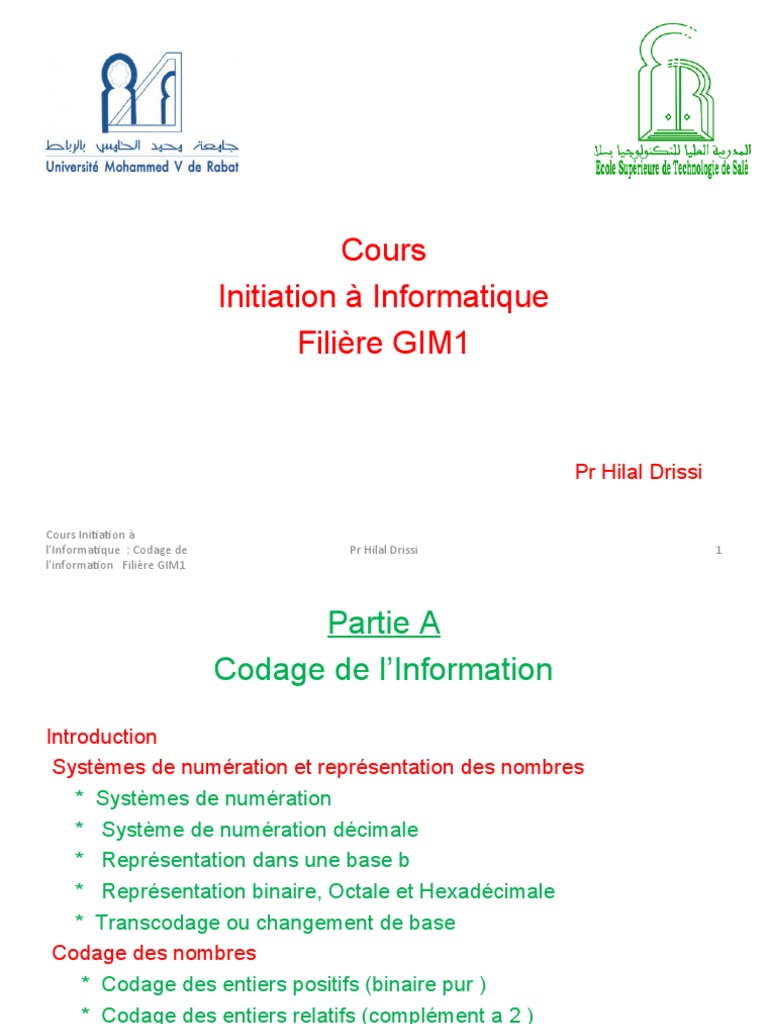 Cours Codage de L'information (GIM1) | PDF | Bit | Ingénierie informatique