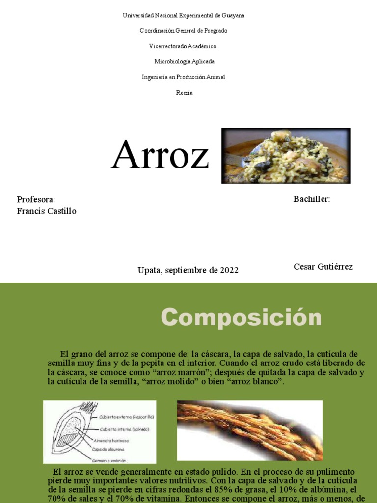 Arroz Presentación | PDF | Arroz | Cereales