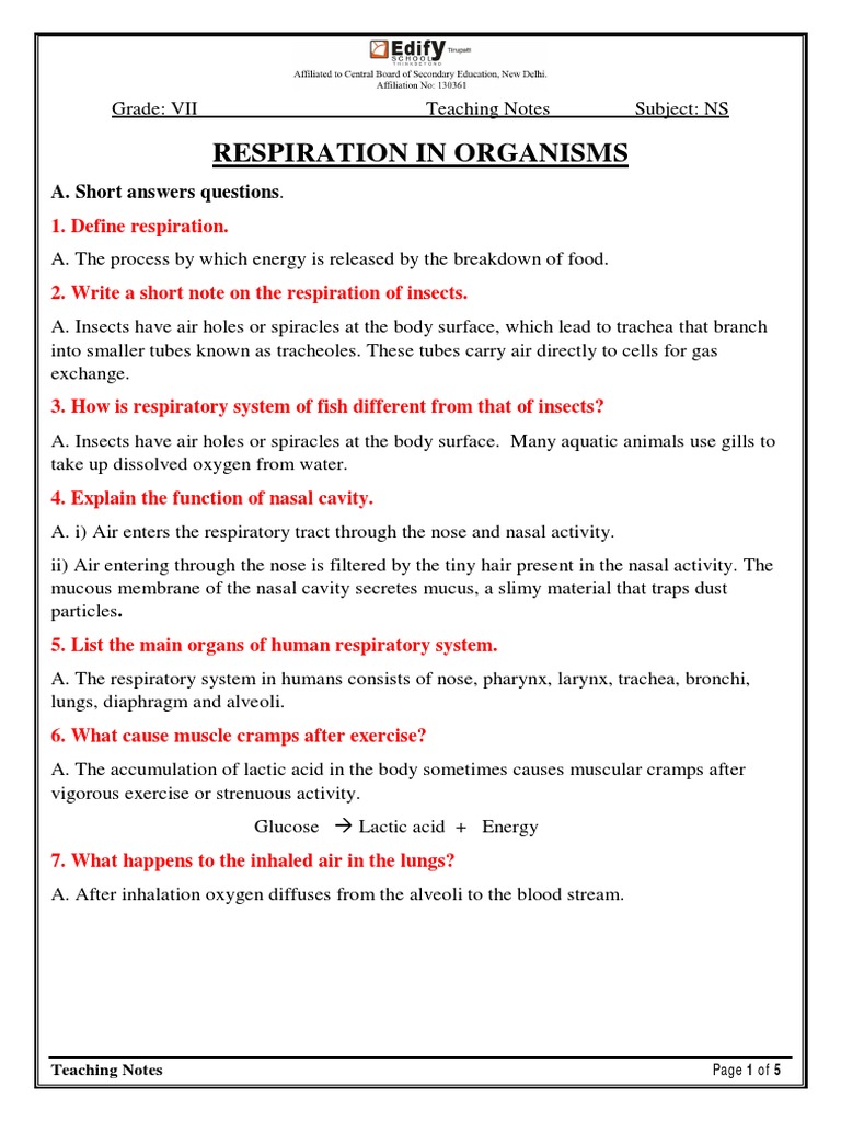 Respiration in Organisms: A. Short Answers Questions | PDF ...