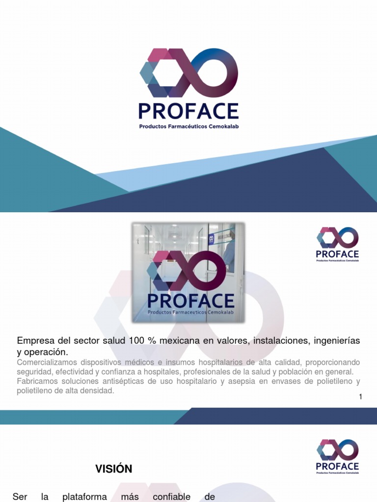 PROFACE | PDF | Calidad (comercial) | Economias