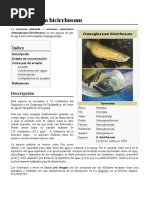 Pez rosado con manos: características y hábitat | PDF | Pescado | Zoología