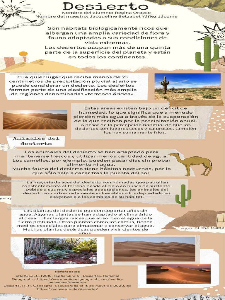 El Desierto | PDF | Desierto | Agua