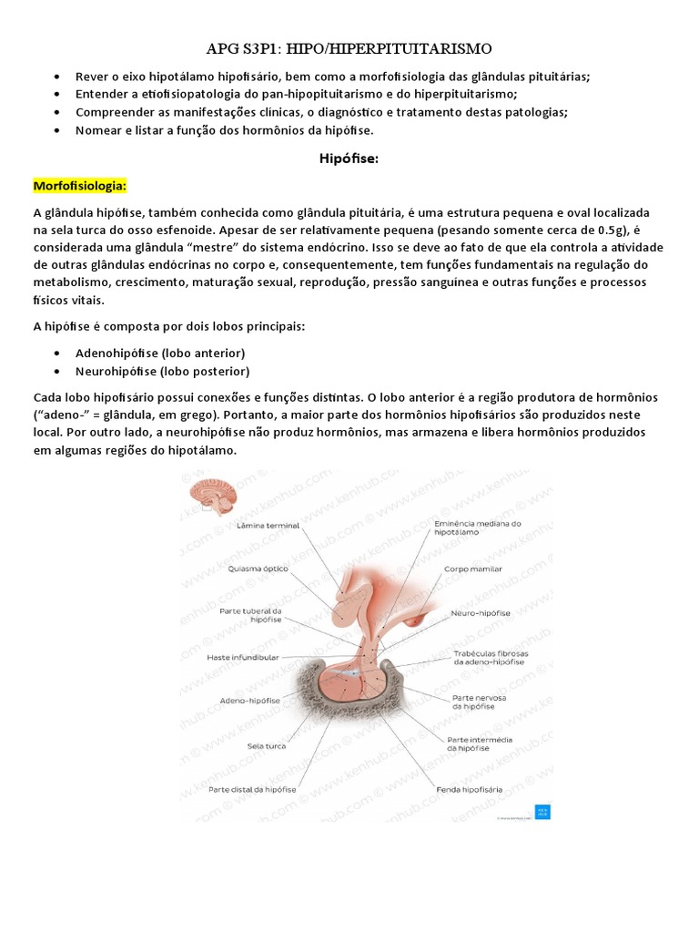 APG S3P1 Hipo-Hiper Pituitarismo | PDF | Glândula pituitária | Hipotálamo