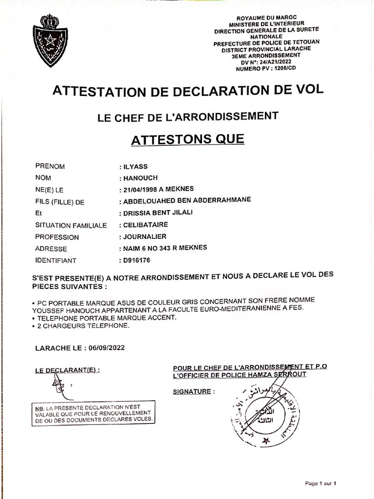 Declaration de Vol | PDF