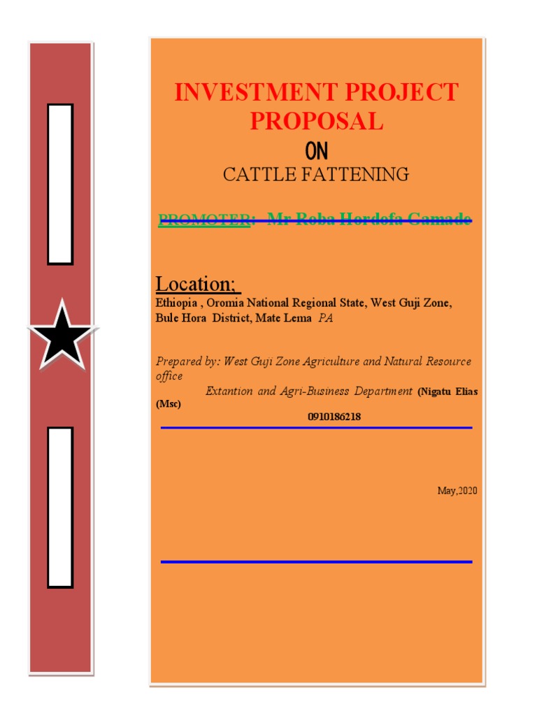 Roba Fatte | PDF | Net Present Value | Internal Rate Of Return