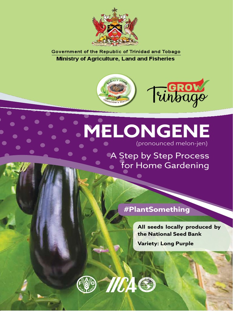 Home Gardening Guide for Melongene | PDF