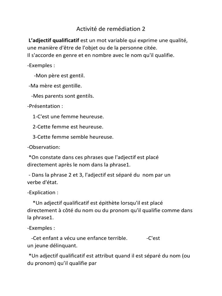 Activité de Remédiation 2 | PDF