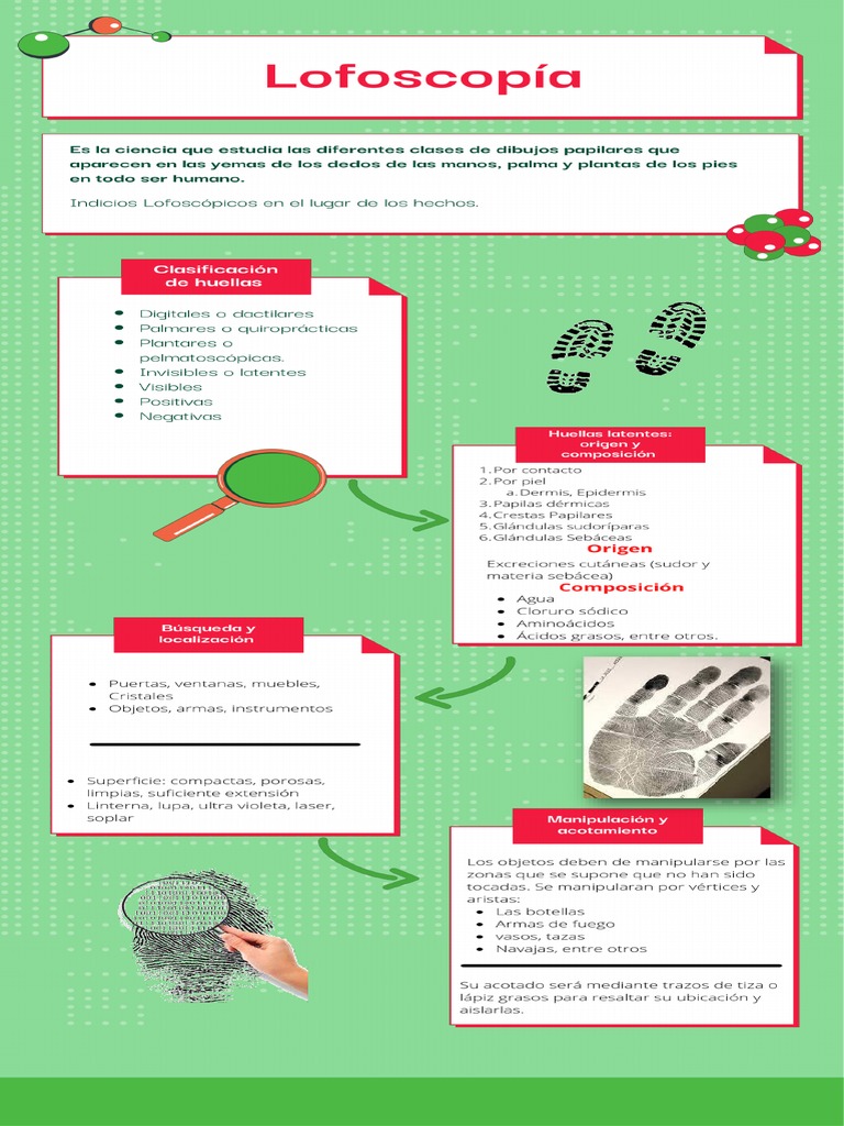 Lofoscopía en Infografía | PDF