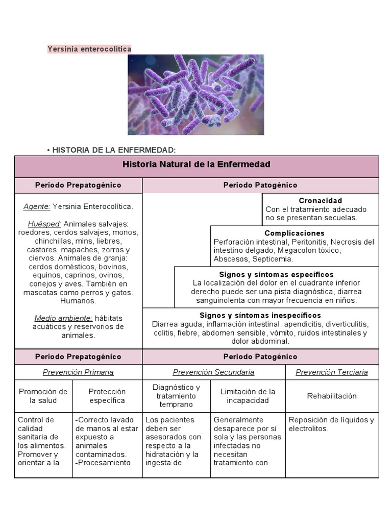 Yersinia Enterocolitica | PDF | Diarrea | Ciencias de la Salud