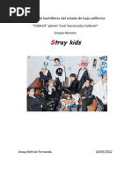 Informe Sobre Stray Kids | PDF