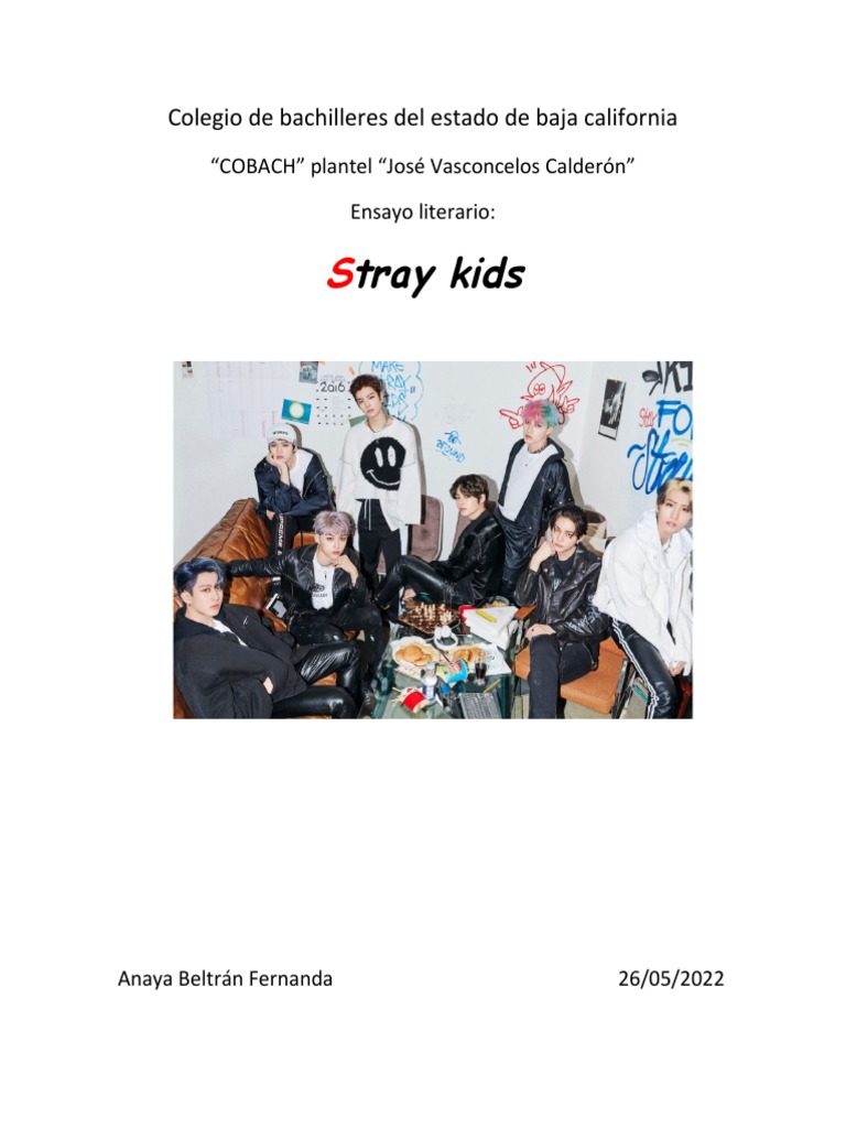 Historia y logros de Stray Kids | PDF | Grupos musicales | Música ...