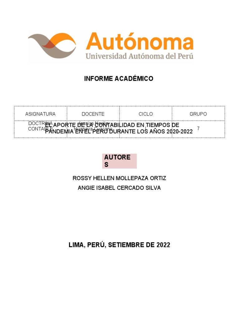 INFORME | PDF | Contabilidad | Perú