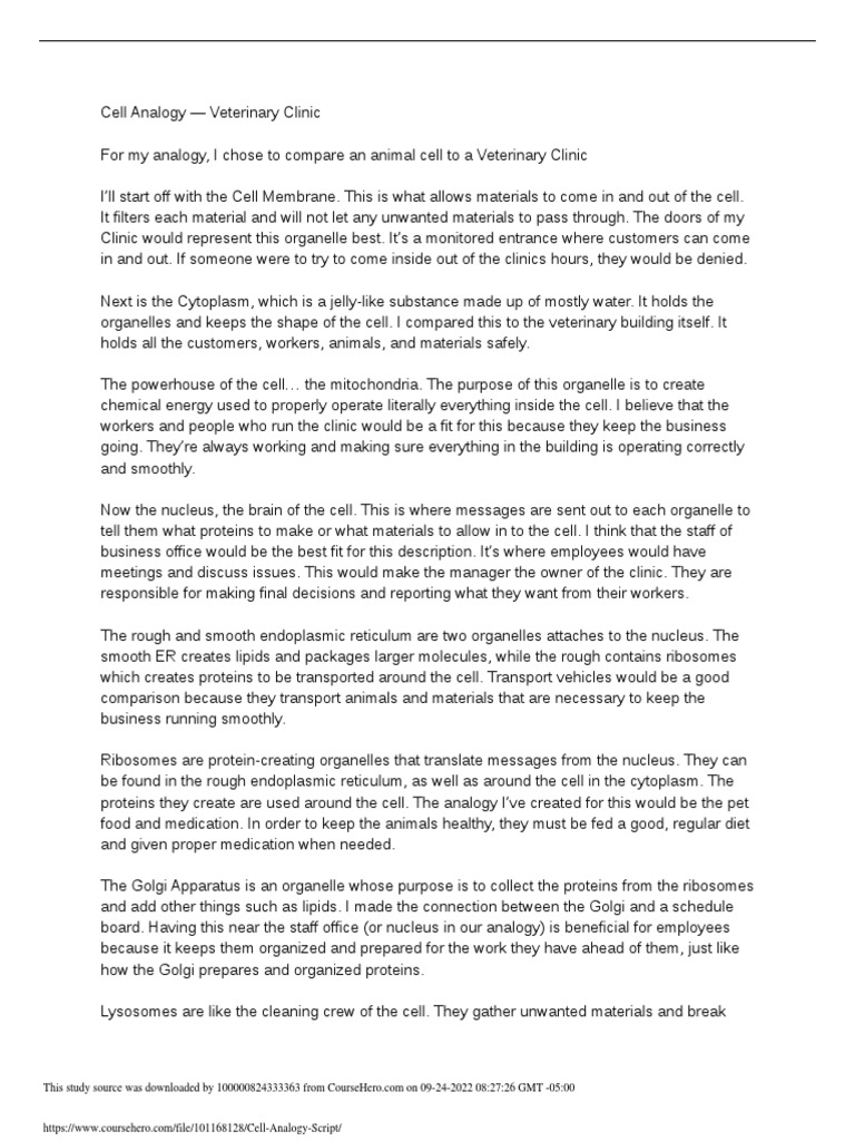 Cell Analogy Script | PDF | Cell (Biology) | Endoplasmic Reticulum