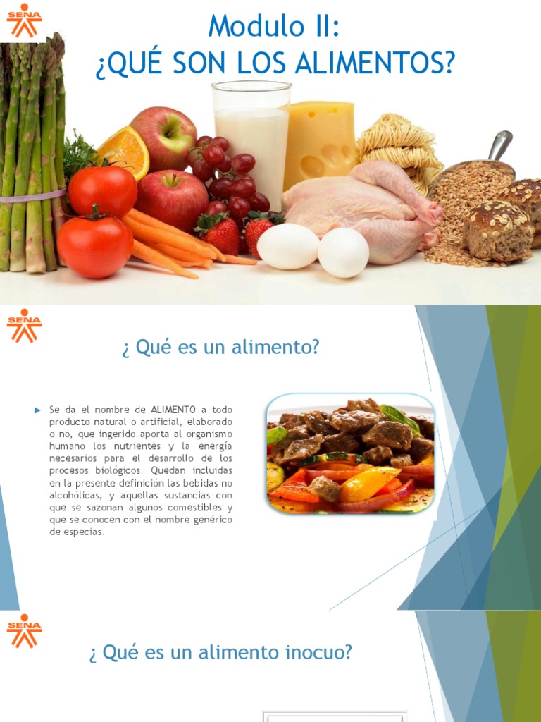 Guía Completa sobre Alimentos | PDF | Alimentos | Nutrición