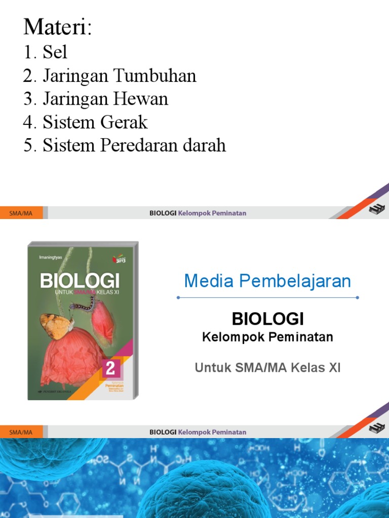 BAB 1 - SEL - NEW-std | PDF