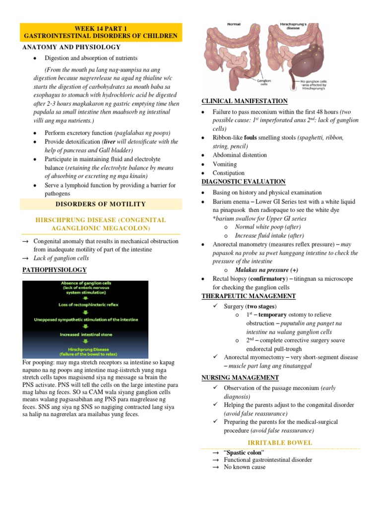 Week 14 Gastrointestinal Disorders | PDF