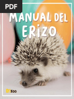 El Erizo y El Globo - Cuento | PDF